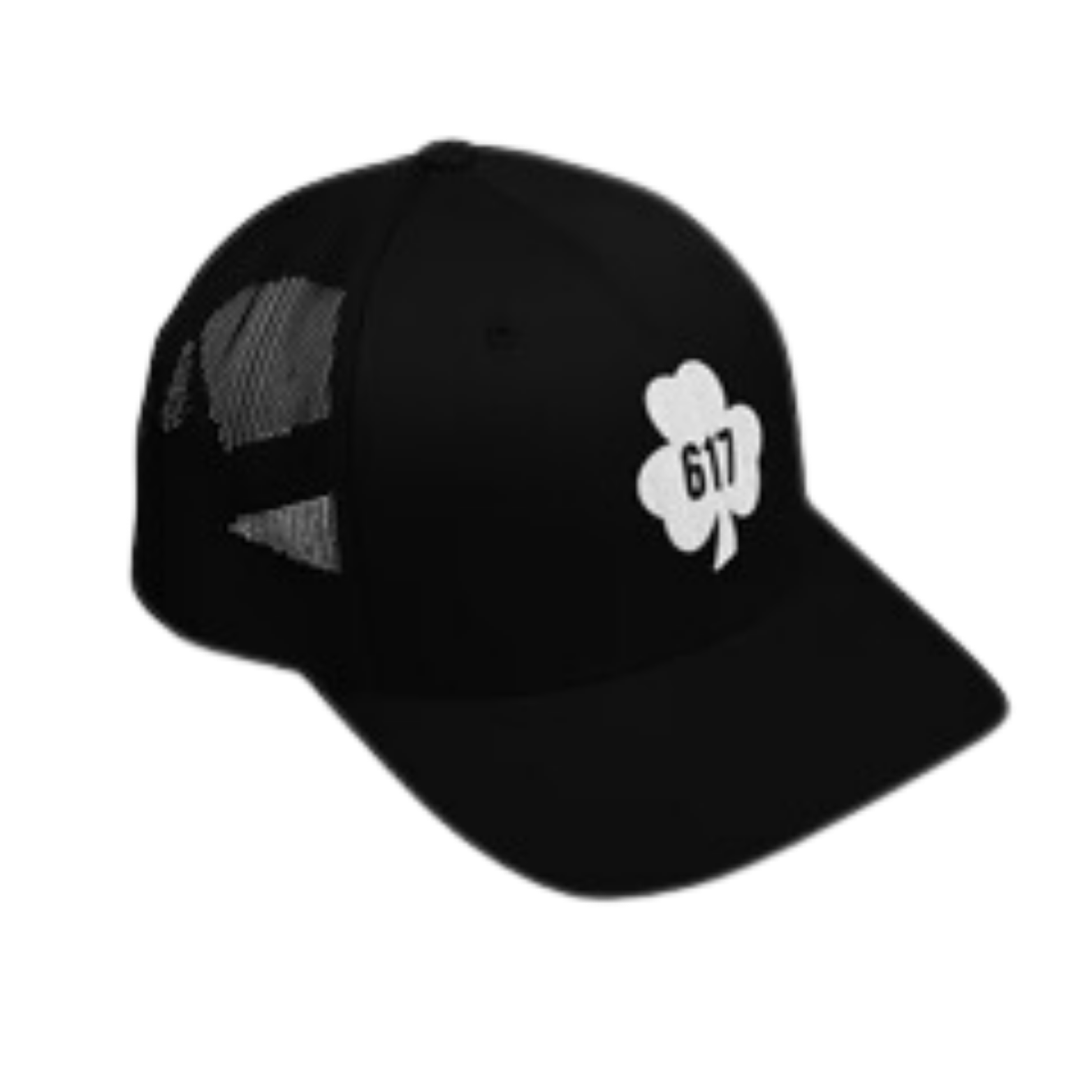 BOSTON SNAPBACK - TOWNIE – Dirty Water Donut Shop
